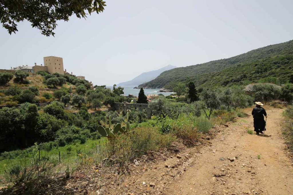 Αγιο Ορος: Διαδρομή Βατοπαίδι - Παντοκράτορος από το μονοπάτι (ΦΩΤΟ ...