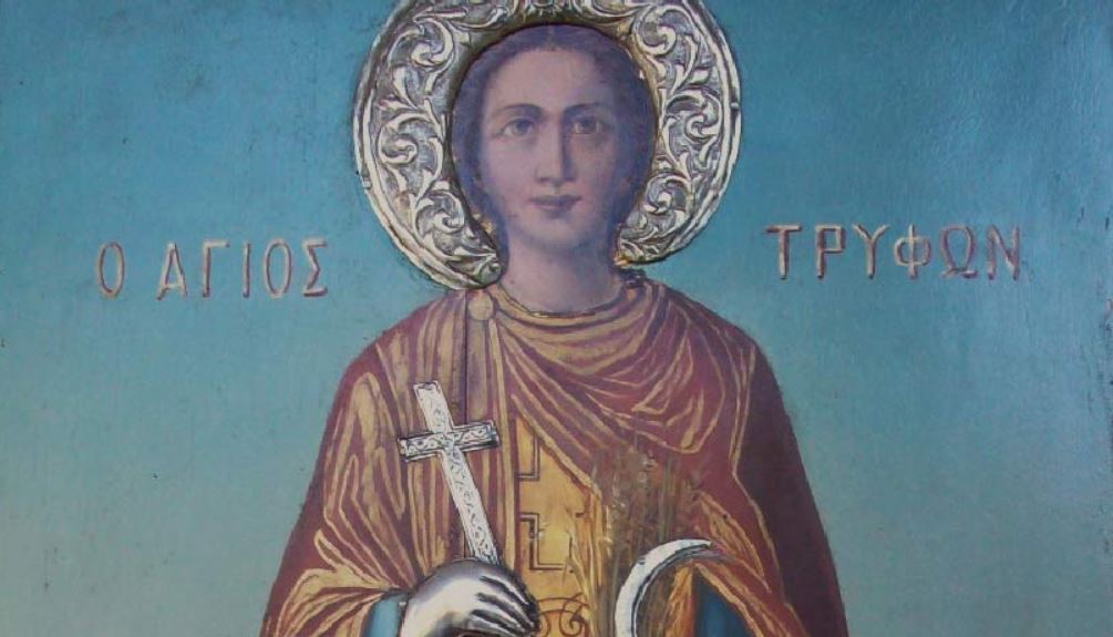Άγιος Μάρτυς Τρύφων: Ο Προστάτης Άγιος των Αμπελουργών - Βήμα Ορθοδοξίας