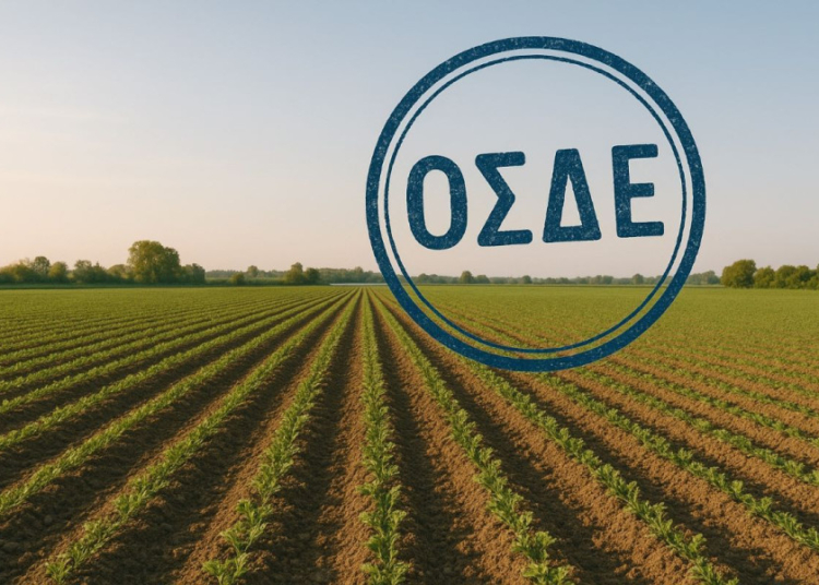 ΣΥΝΤΑΞΙΟΥΧΟΙ - ΜΙΣΘΩΤΟΙ 2026: Μπλοκάκια χωρίς διπλή εισφορά και ...